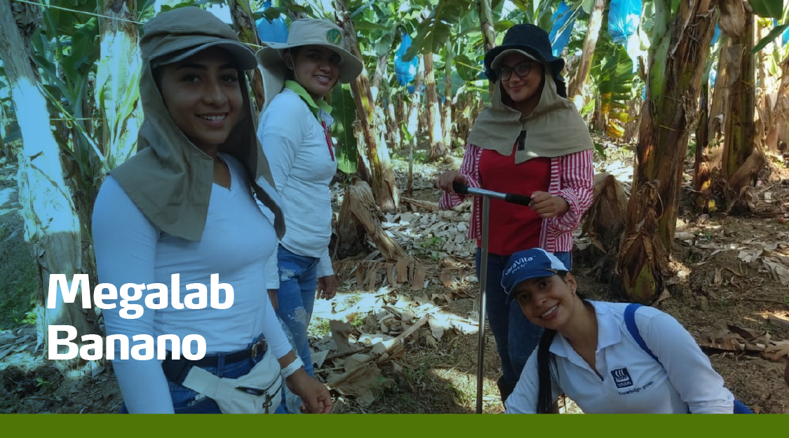 Yara Megalab® | Yara Ecuador